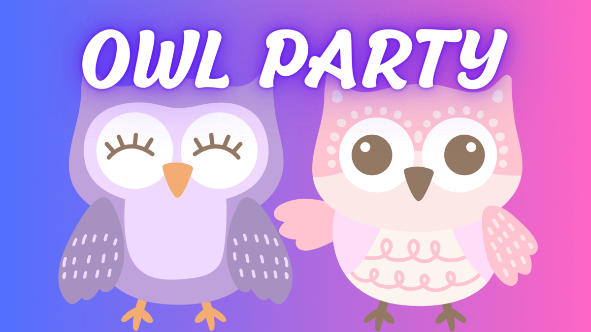 Hootiful Celebration: A Wise and Whimsical Owl-Themed Birthday Party ...