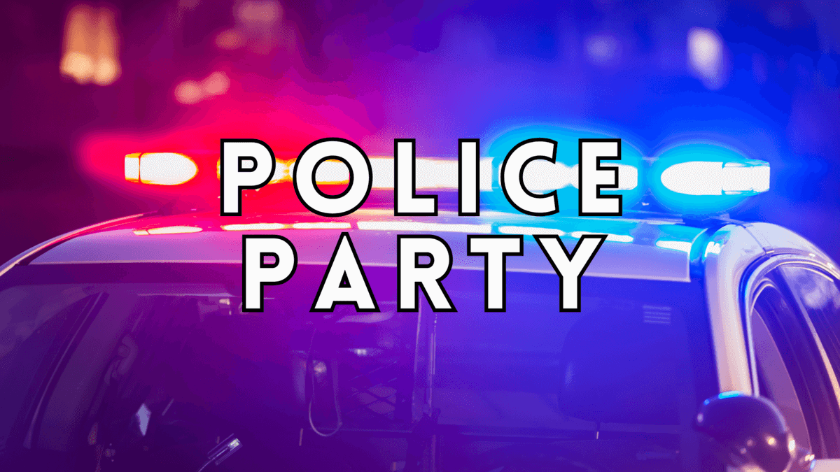 Protect and Party: Police Party Ideas for Law-Enforcement-Themed Fun ...